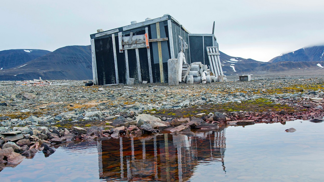 A Woman In The Polar Night by Christine Ritter book review | The TLS
