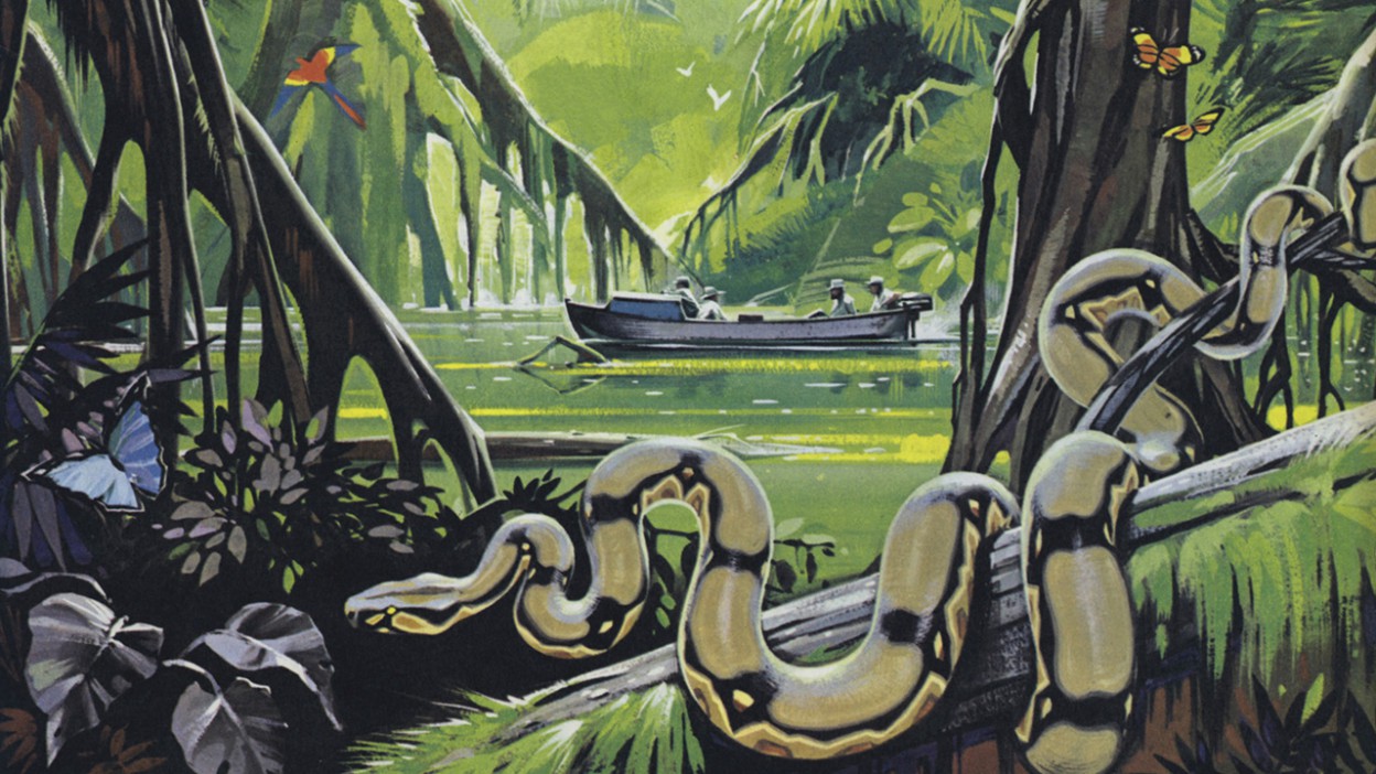 Thrills, spills and racism in Willard Price’s Adventure books | Sam Leith