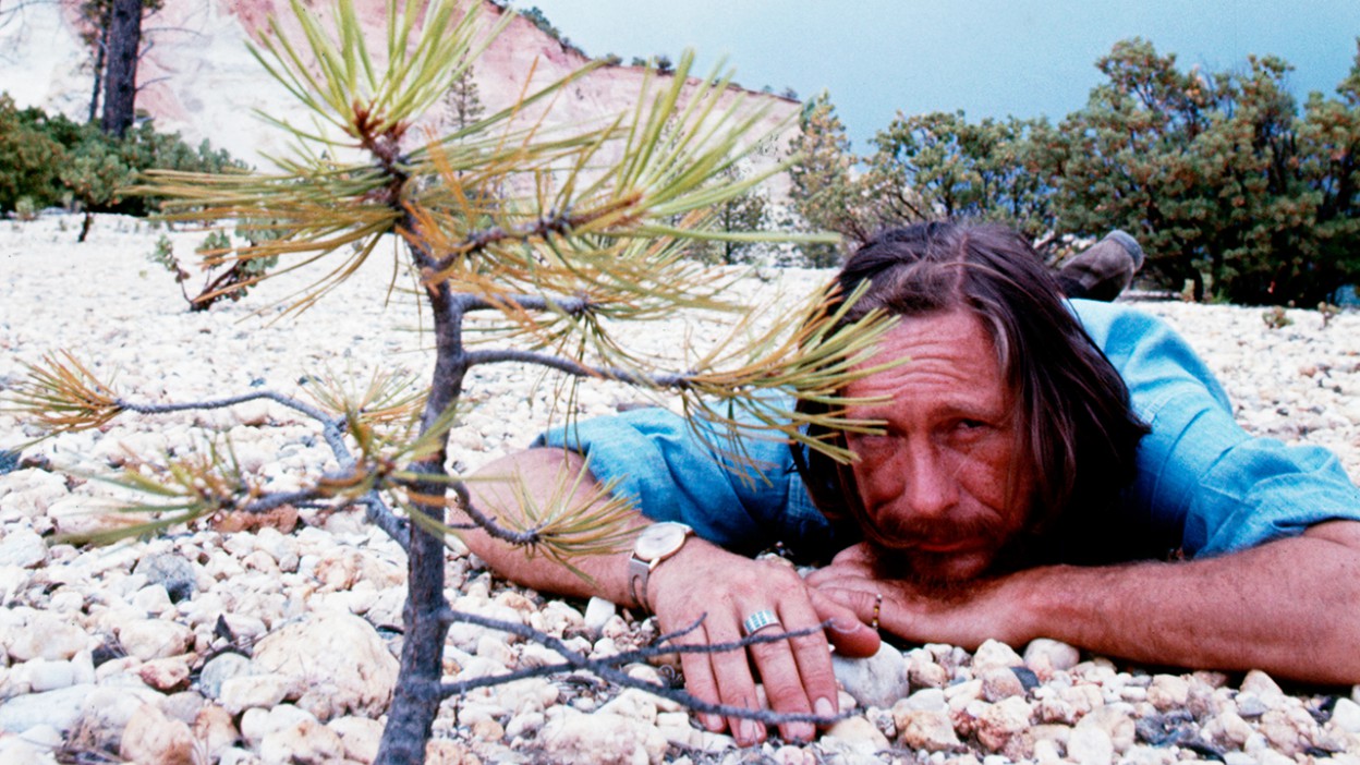 Collected Poems by Gary Snyder | Book review | The TLS