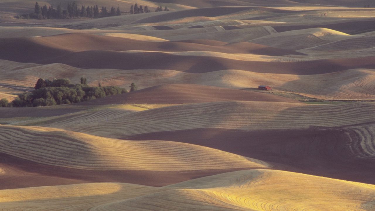 ‘Dunnerdale’ by Patric Dickinson | Poem of the Week | The TLS