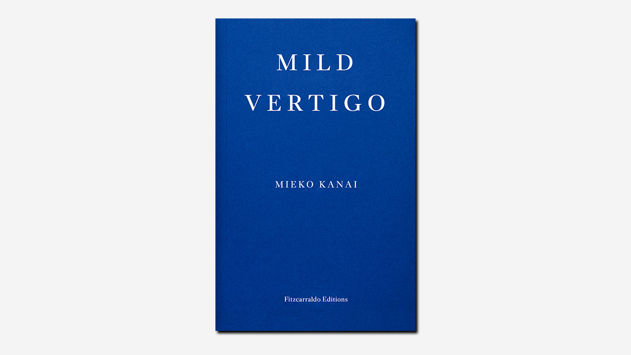 Mild Vertigo by Mieko Kanai | Book review | The TLS