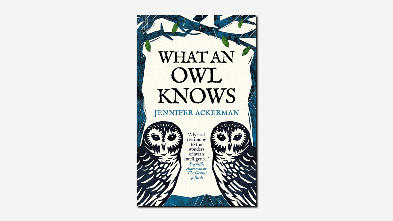 What an Owl Knows by Jennifer Ackerman | Book review | The TLS