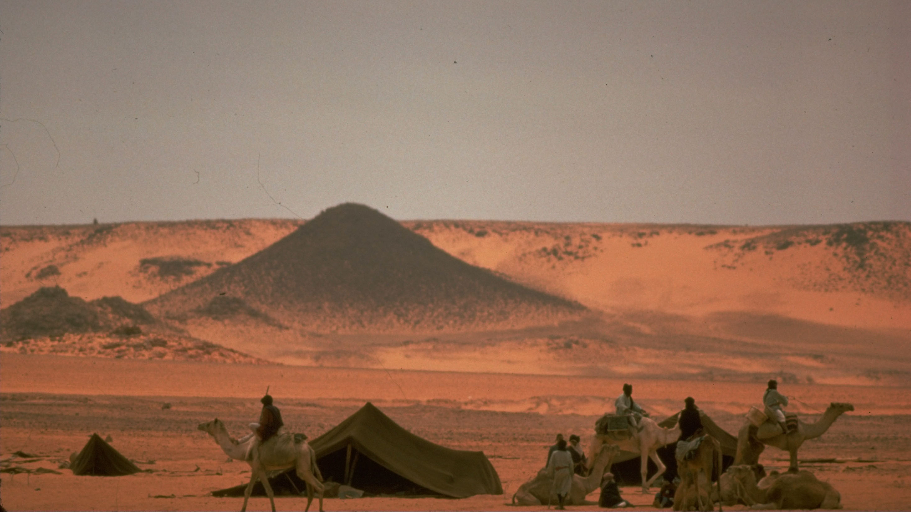 Shifting Sands by Judith Scheele | Book review | James Copnall