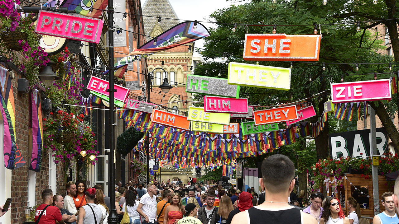 Pronoun Trouble by John McWhorter | Book review | Anna Machin