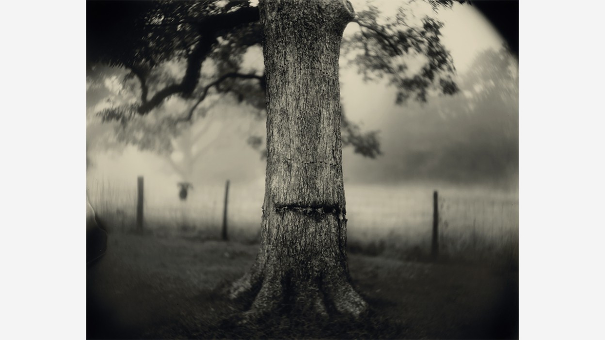 Art Work by Sally Mann | Book Review | Joyce Carol Oates